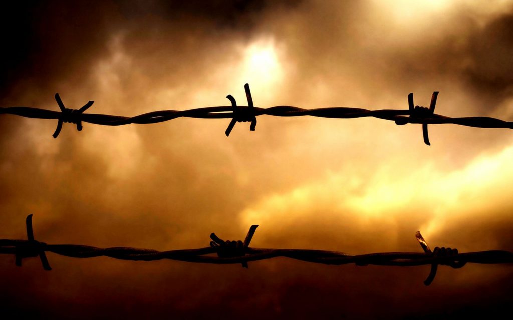 What To Look For Before Purchasing Barbed Wire? – Blog – VNC Group